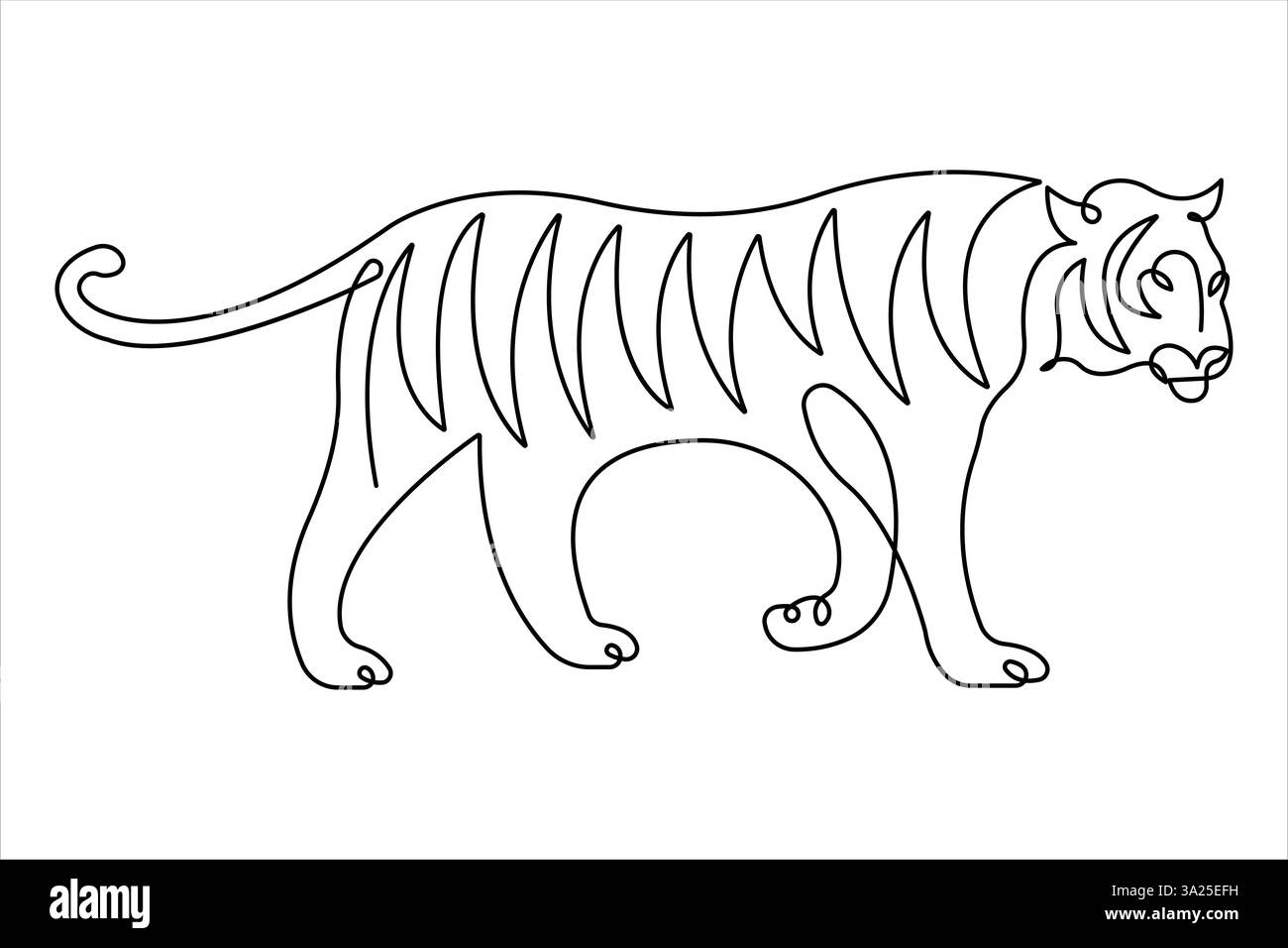 Tiger continuous one single line drawing of style. tiger wild animal ...