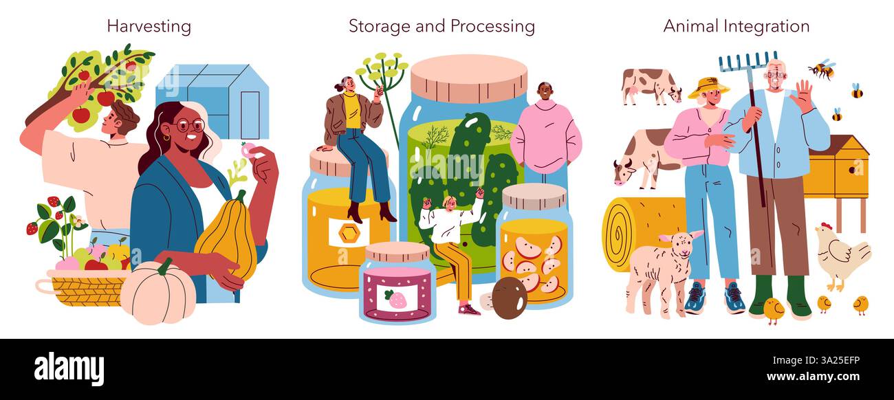 Colorful and vibrant illustrations depicting the processes of ...