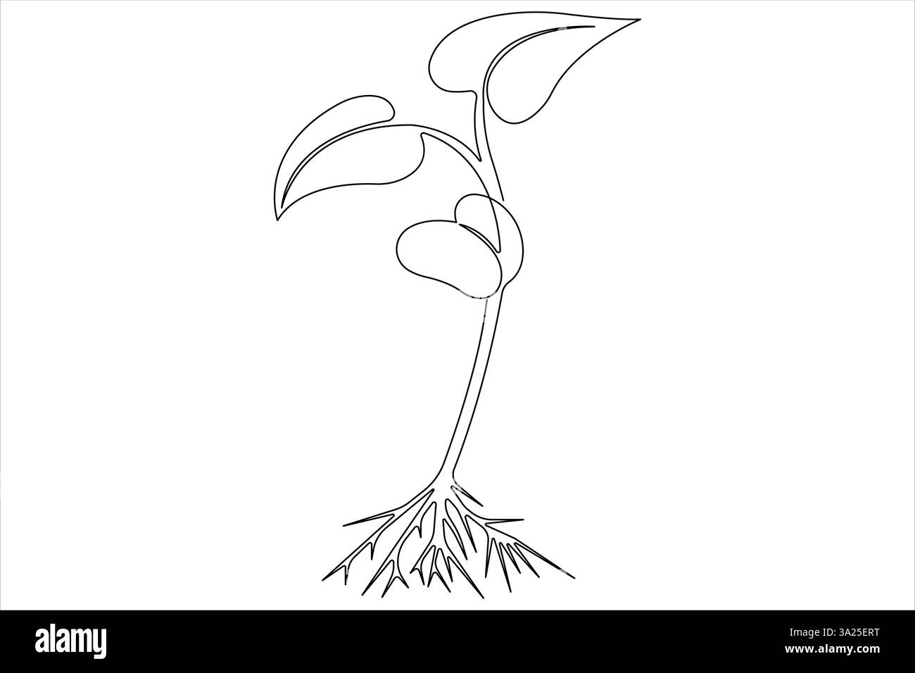 Growth process icon progress Black and White Stock Photos & Images - Alamy