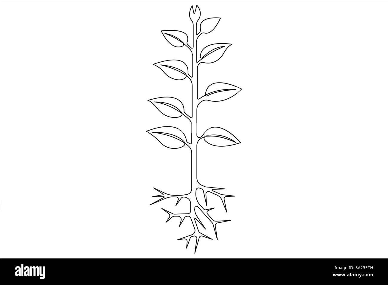 One continuous line drawing Plant growth process Stock Vector Image ...
