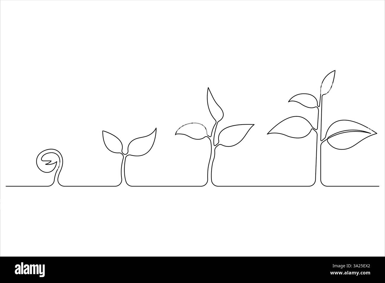 Growth timeline Black and White Stock Photos & Images - Alamy