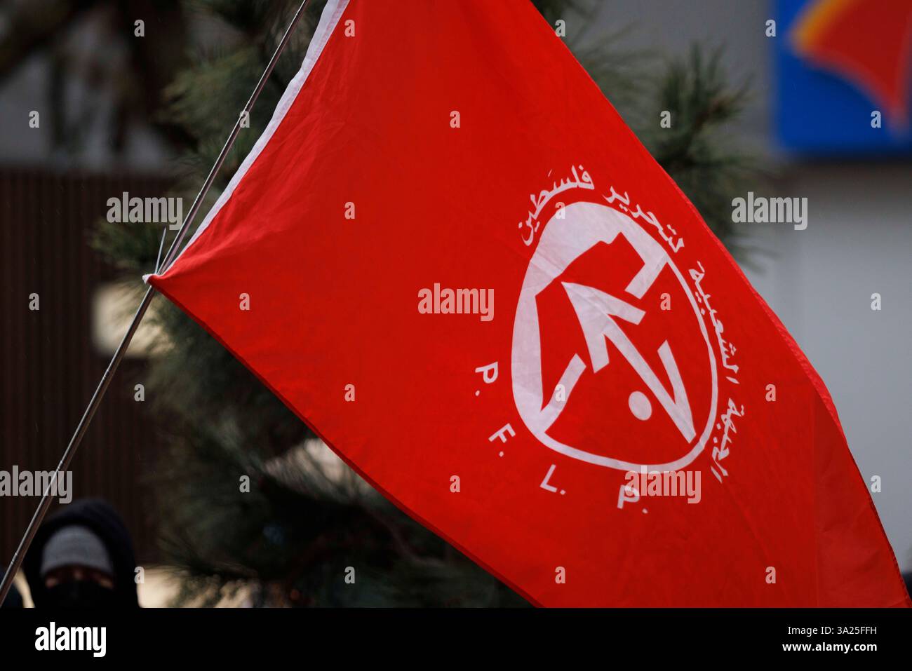 Portland, USA. 11th Mar, 2025. A demonstrator carries the flag of the ...
