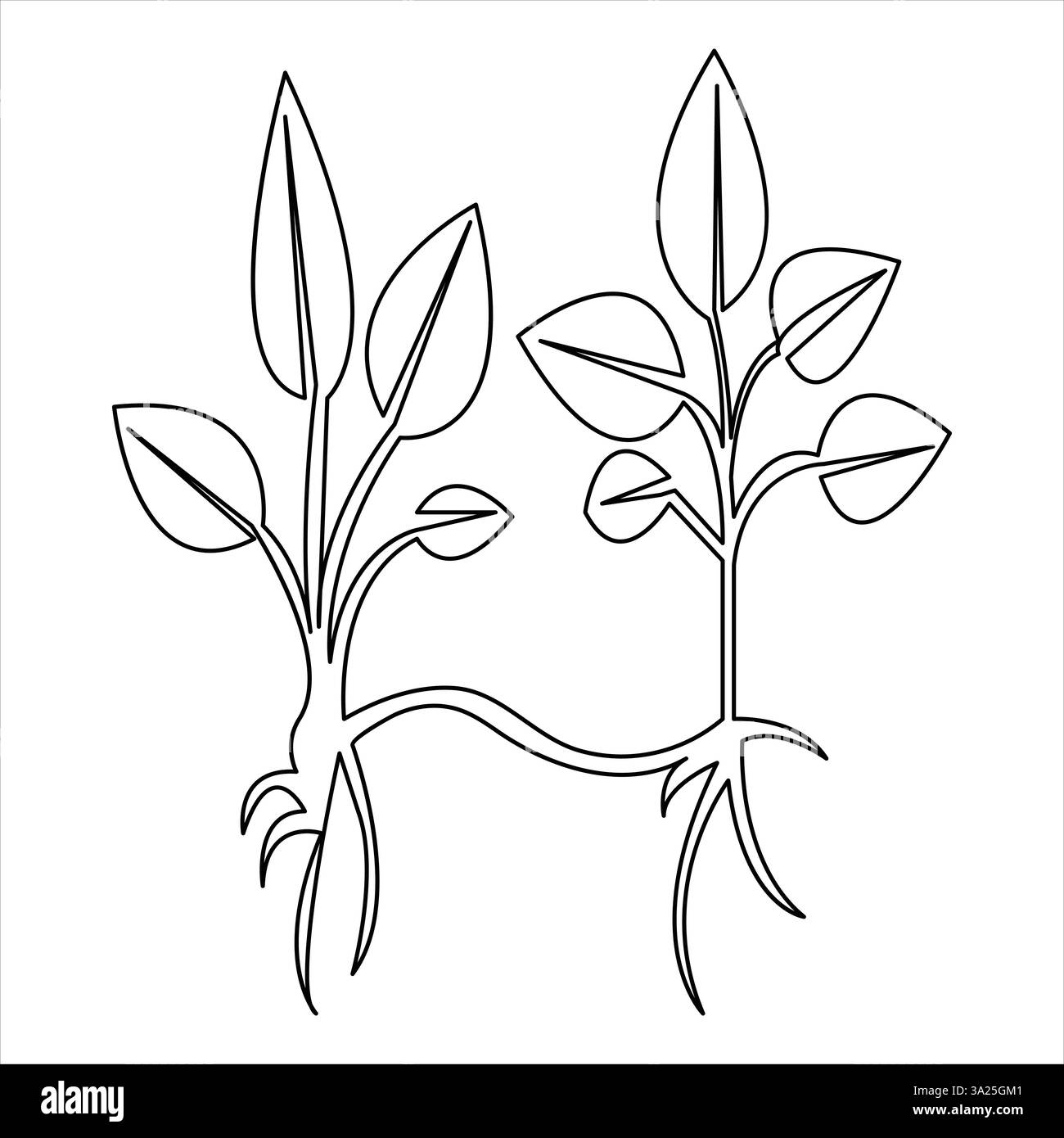 Continuous one line art drawing plant growth process illustration ...
