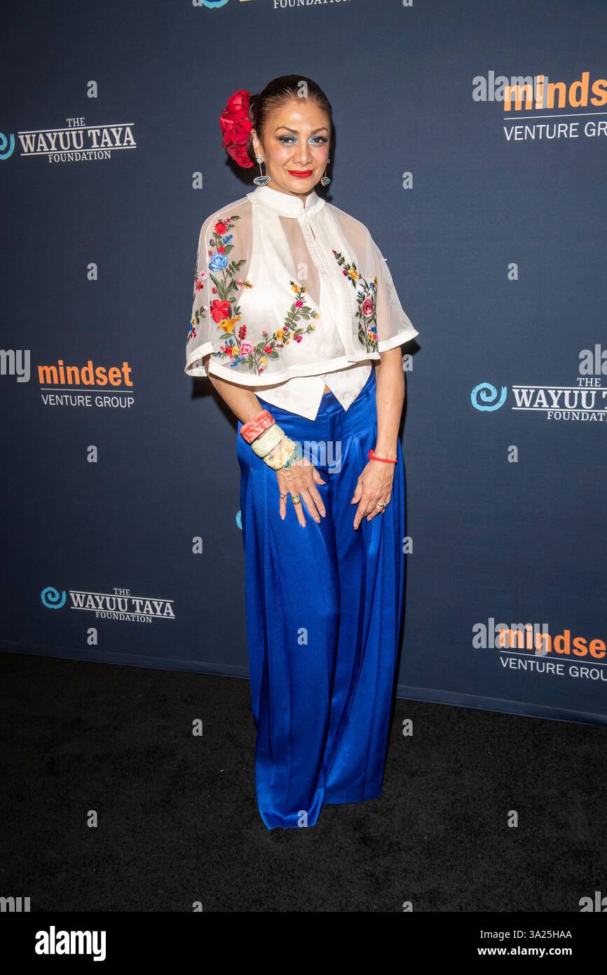 New York, United States. 11th Mar, 2025. Donna D'Cruz attends the 2025 ...