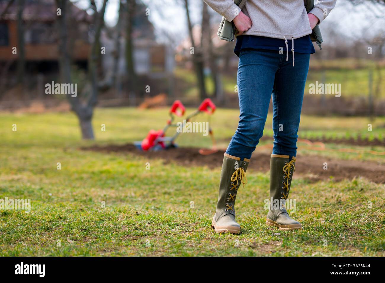 Woman preparing garden beds for planting. Rotavator, garden tiller ...