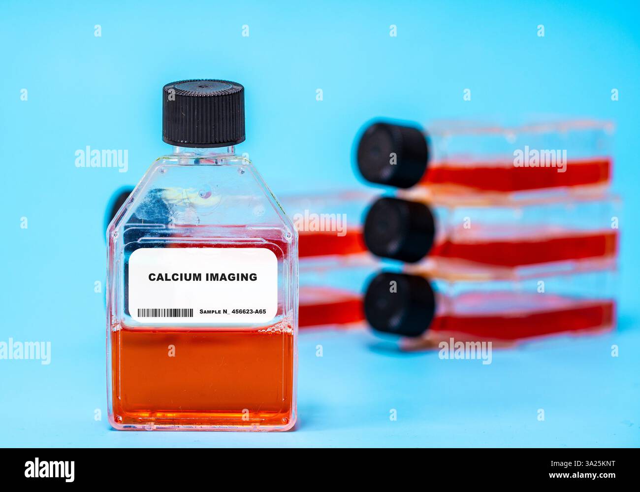Calcium Imaging Monitoring intracellular calcium levels in cultured ...