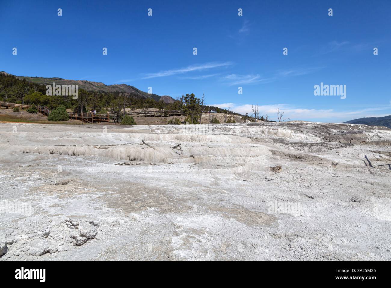 Mammoth Hot Spring, Yellowstone National Park Stock Photo - Alamy