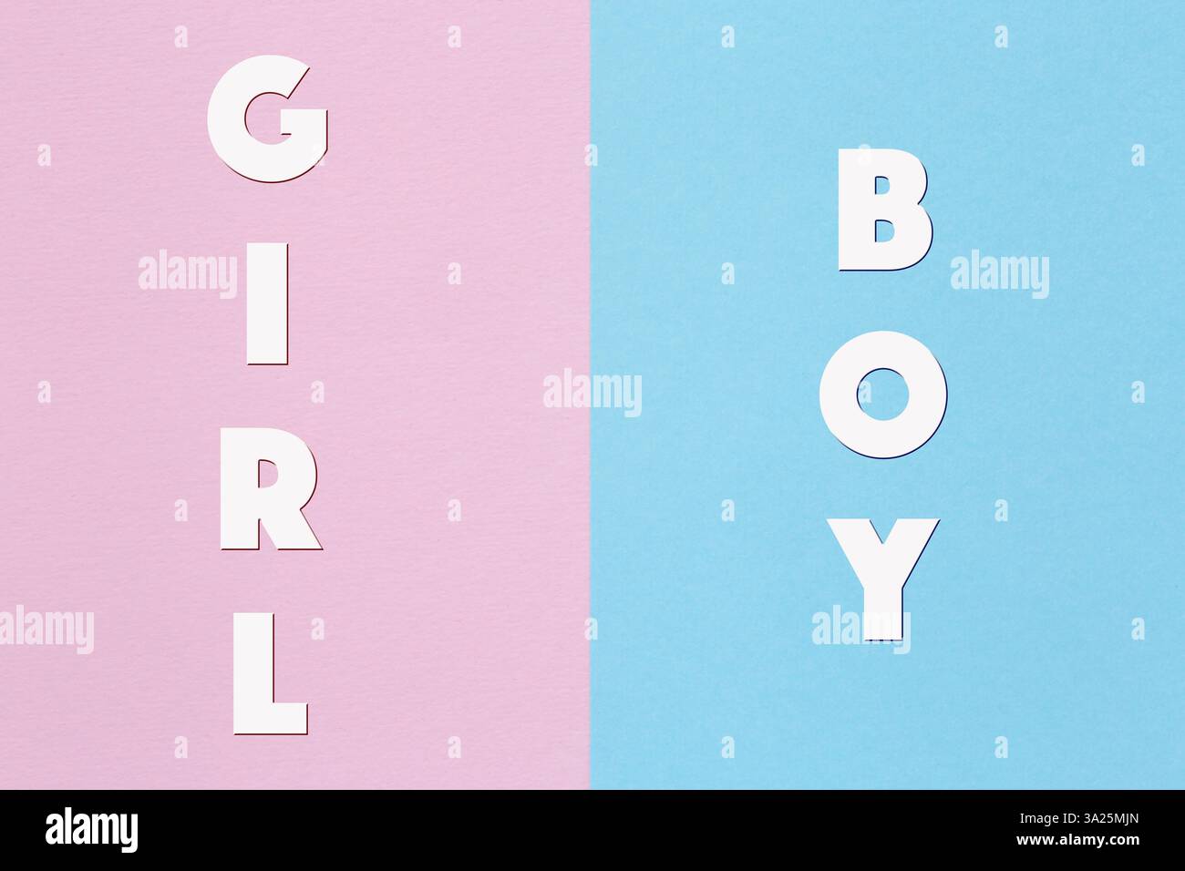 word Girl on pink cardboard and word Boy on blue cardboard illustration ...