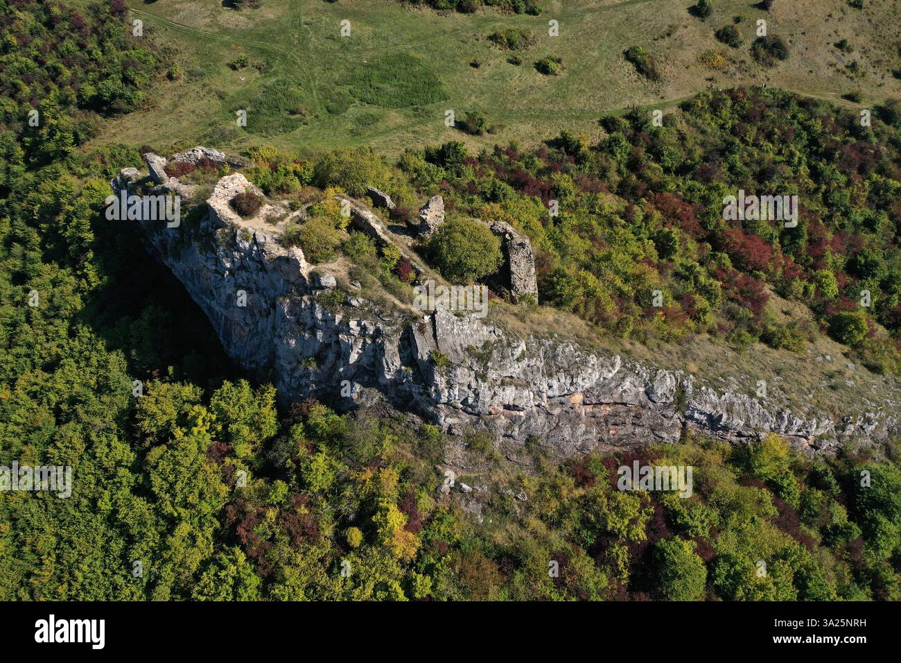Aerial view of medieval fortification ruins, on a cliff in the forest ...