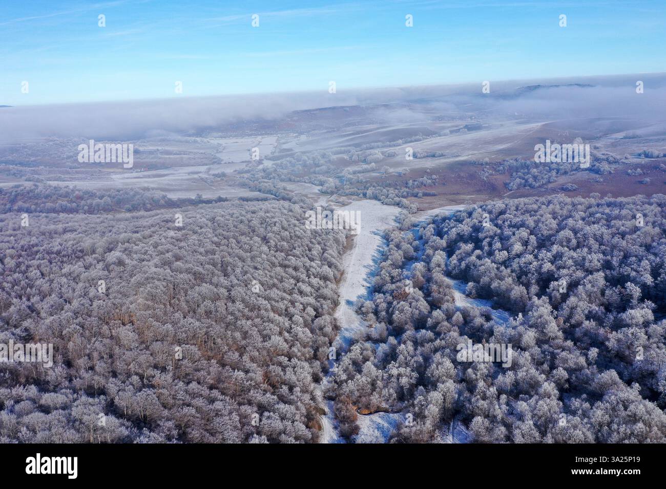 Flying over frosty winter hills and forest by drone Stock Photo - Alamy