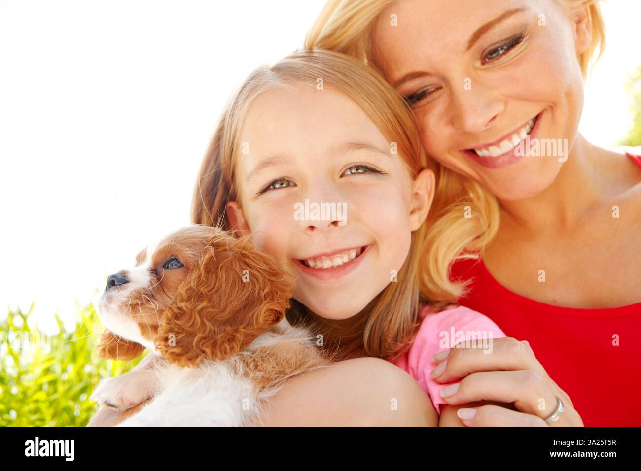 Outdoor, mom and child with dog after adoption, puppy care and bonding ...