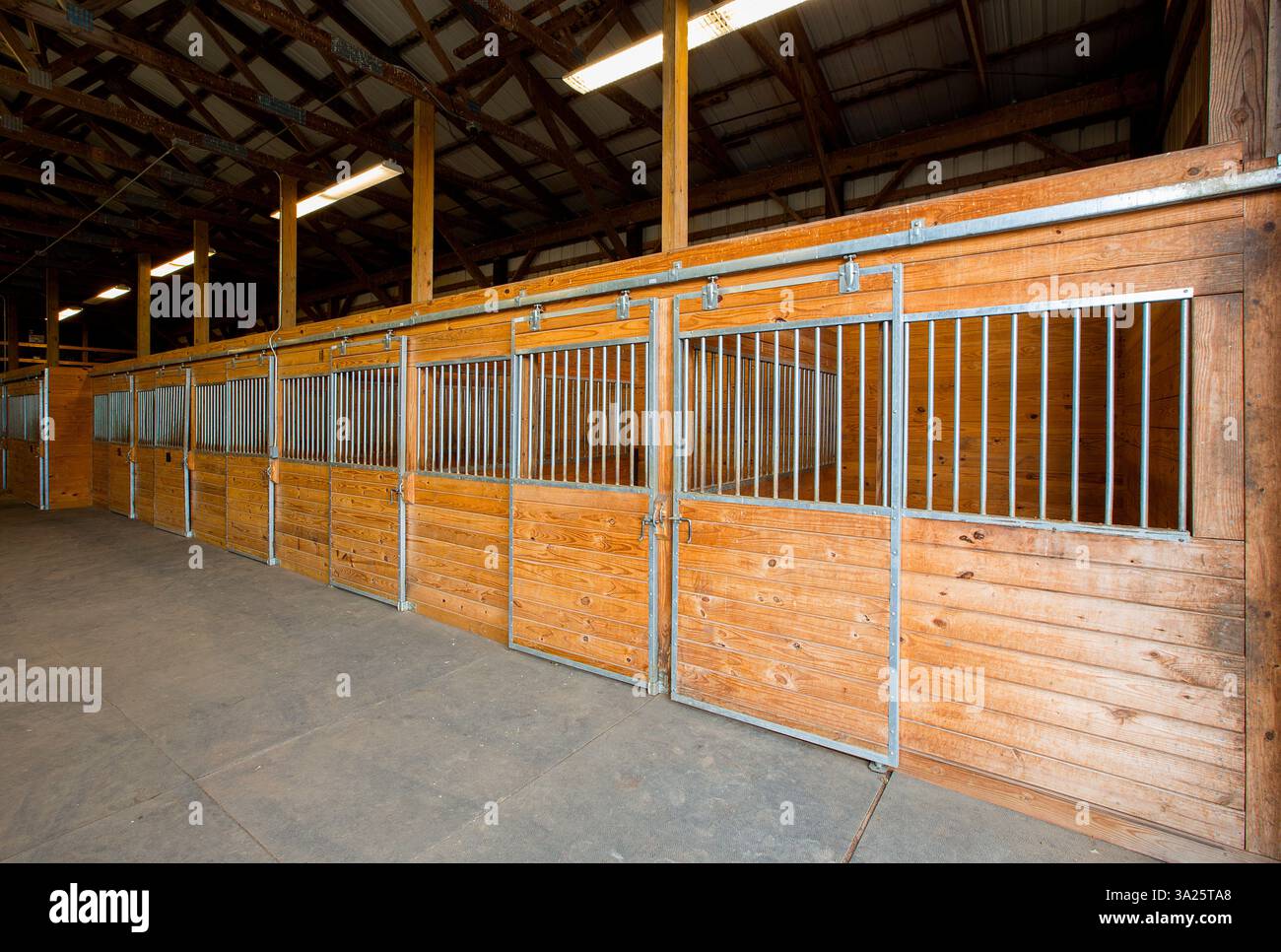 Interior view of stall doors in horse stable Stock Photo - Alamy