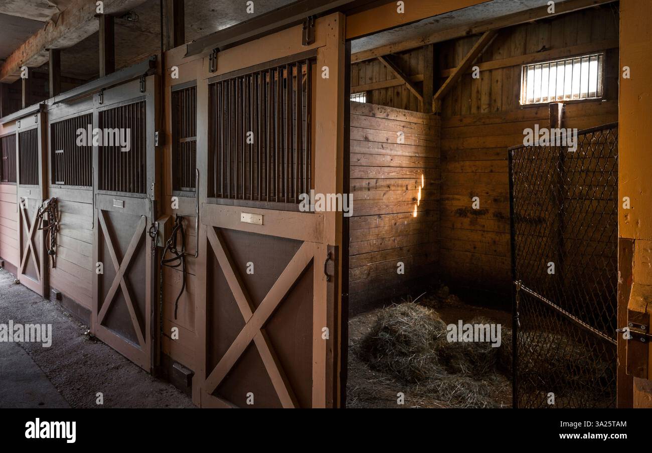 Interior view of stall doors in horse stable Stock Photo - Alamy