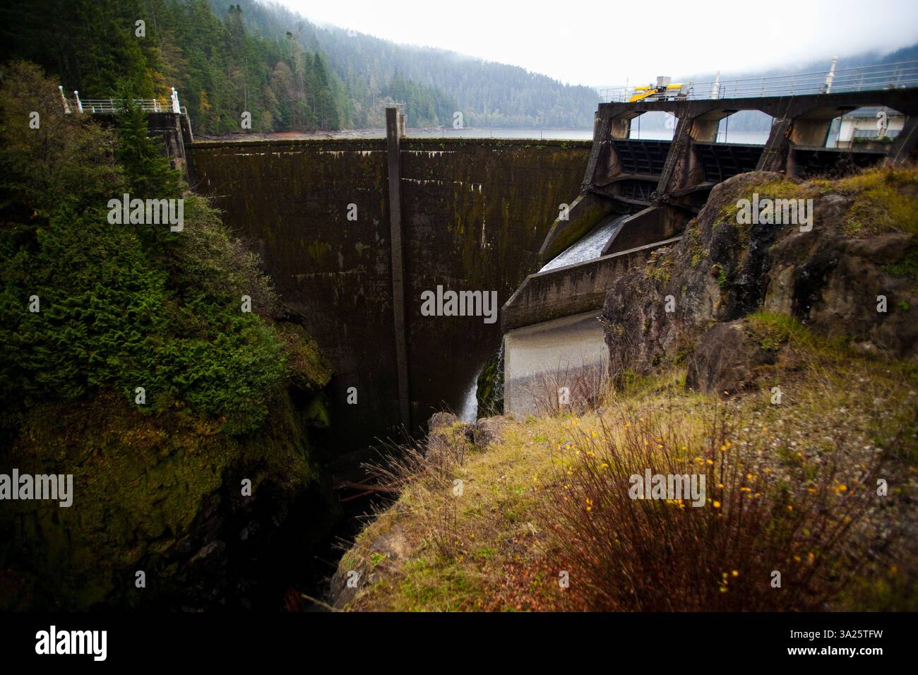 Bridge over the Elwha River, Glines Canyon Dam, Lake Mills, Olympic ...