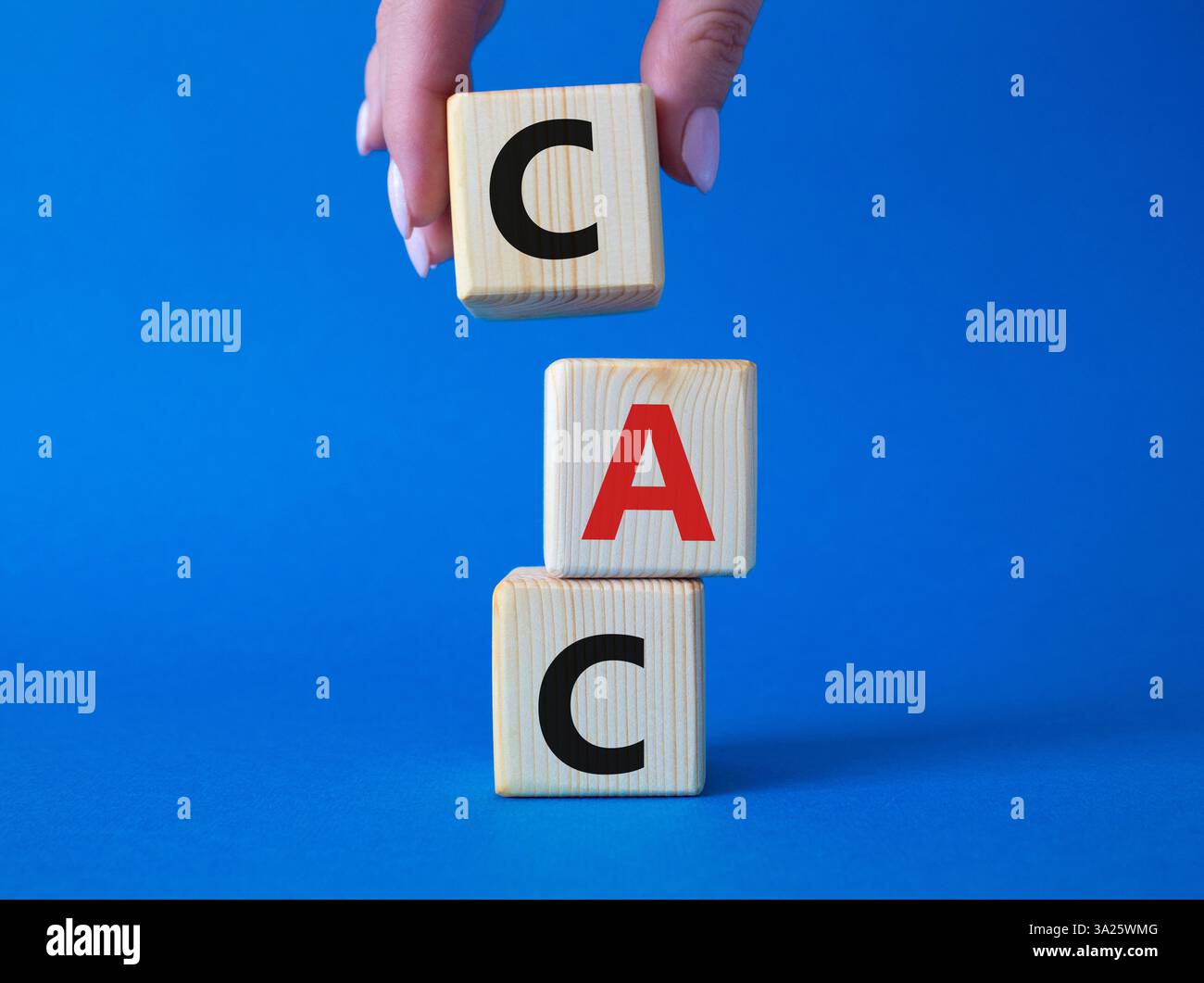 CAC - Customer Acquisition Cost symbol. Wooden cubes with word CAC ...