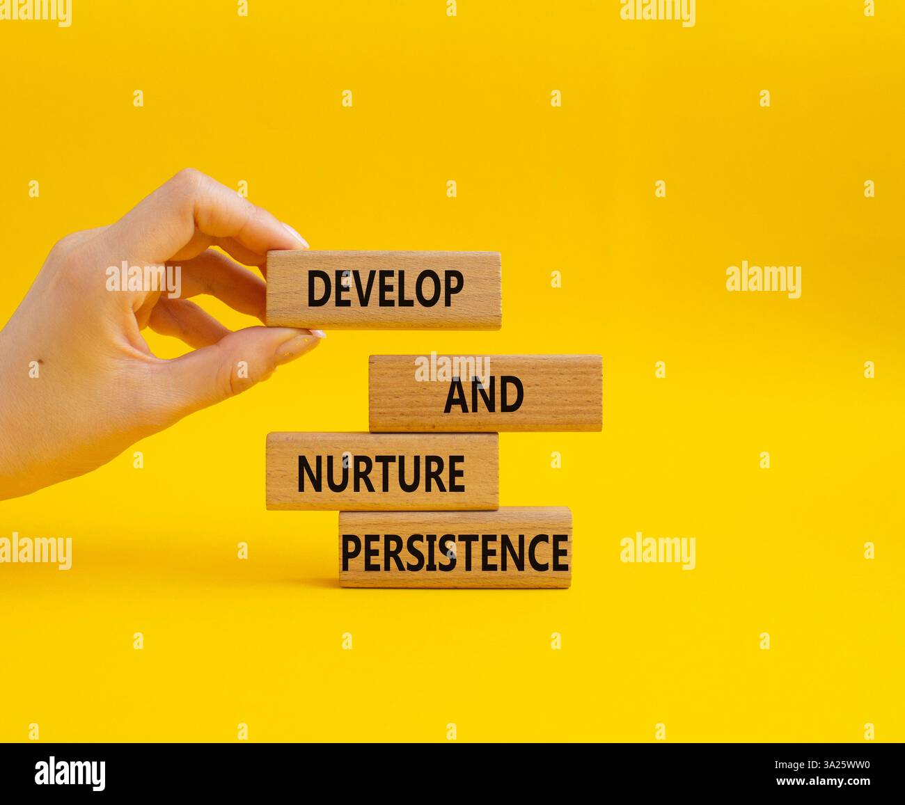 Persistence and development symbol. Wooden blocks with words Develop ...