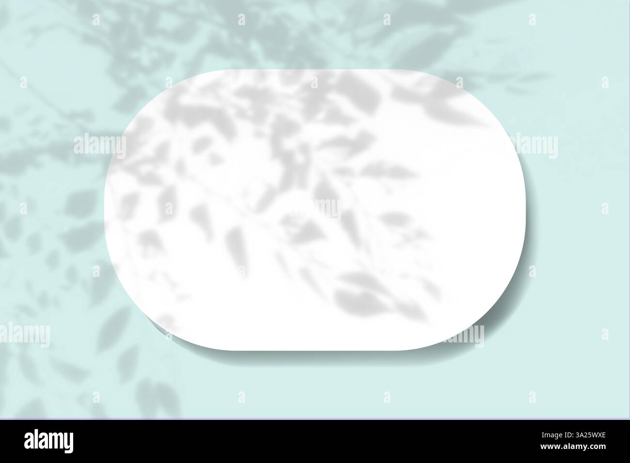 A horizontal oval sheet of white paper on the blue wall background ...