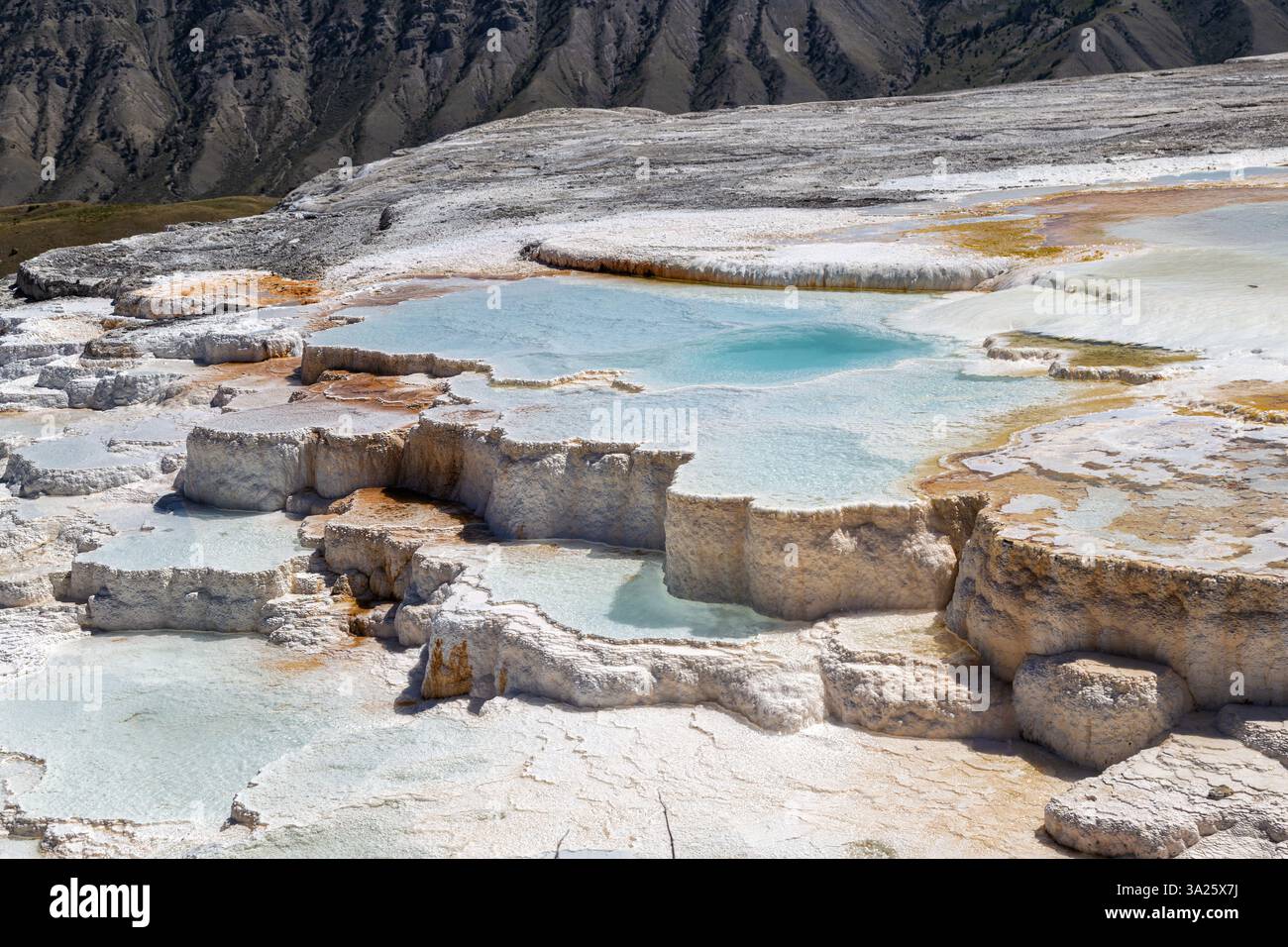 Mammoth Hot Spring, Yellowstone National Park Stock Photo - Alamy