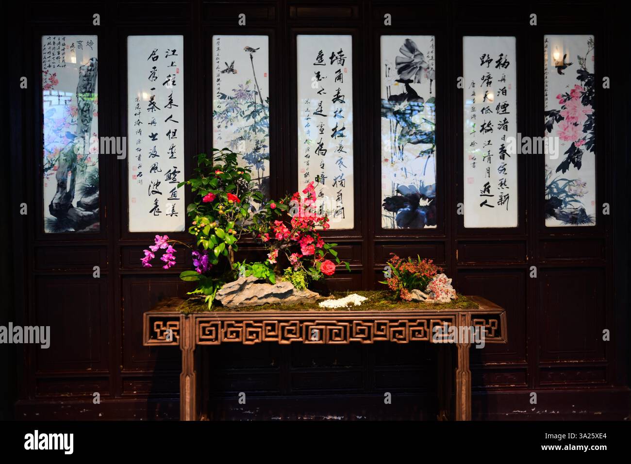 People admire camellia flowers at Lingering Garden in Suzhou City, east ...