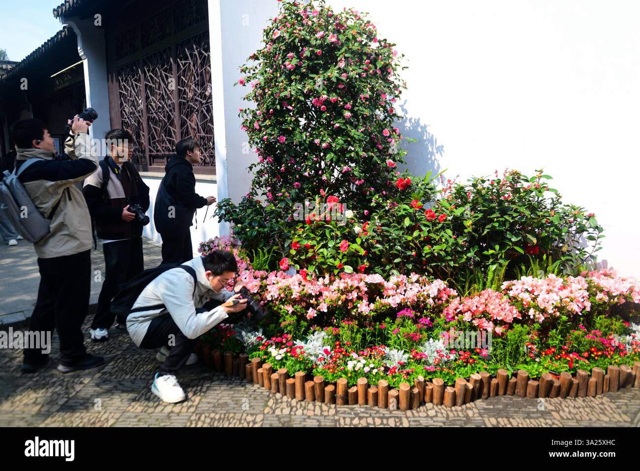 People admire camellia flowers at Lingering Garden in Suzhou City, east ...