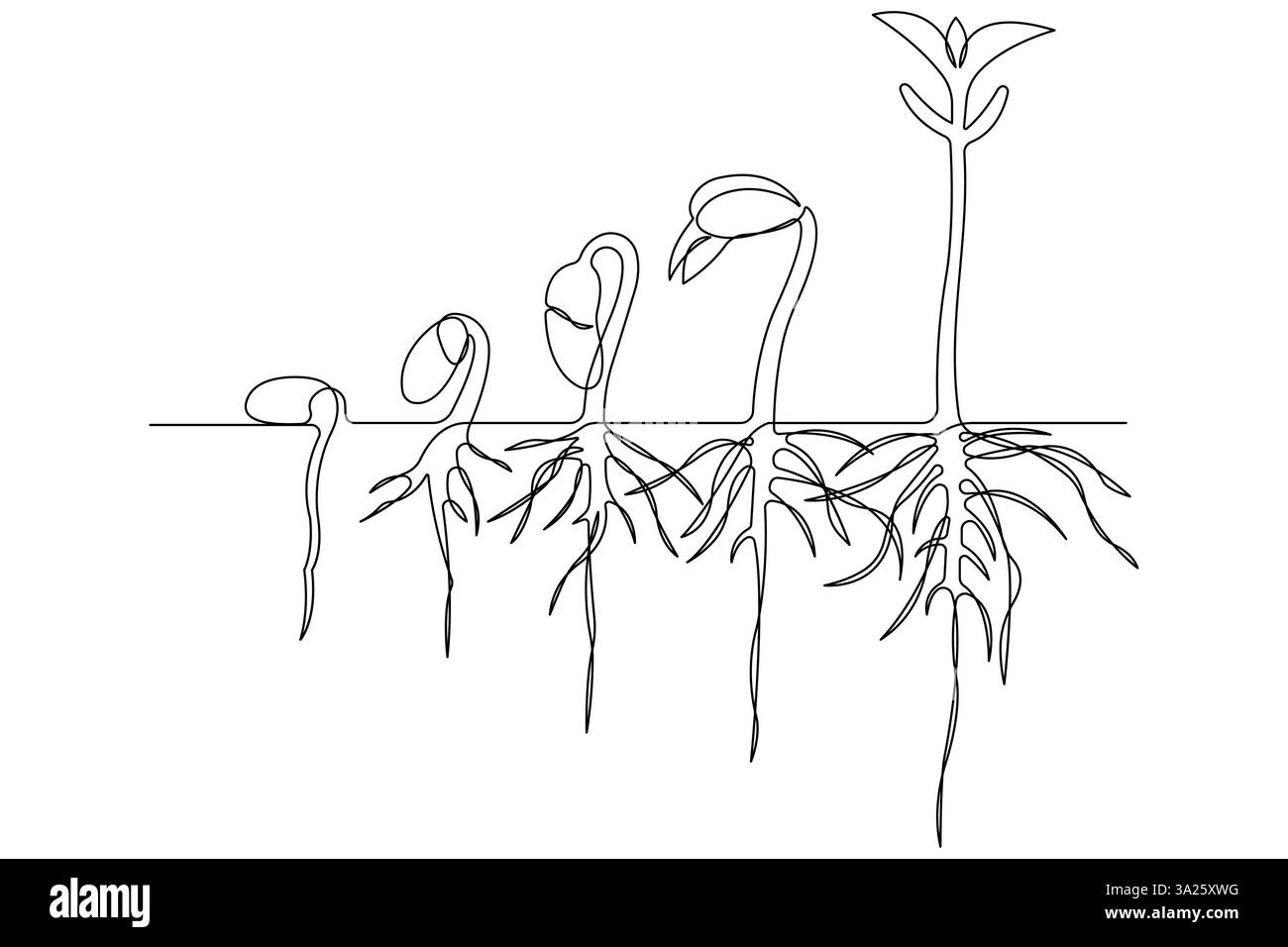 Plant growing continuous one line art drawing of tree plant outline ...