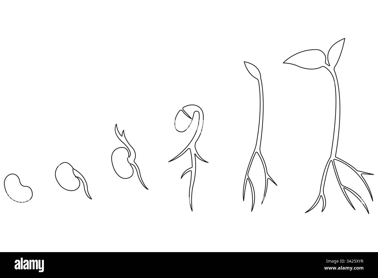 Plant growing continuous one line art drawing of tree plant outline ...