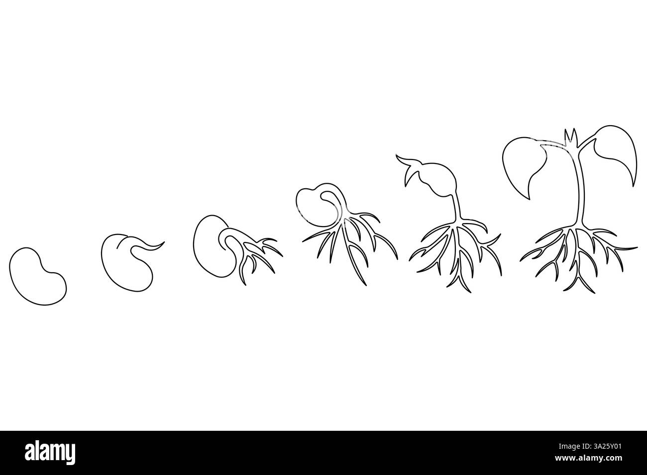 Plant growing continuous one line art drawing of tree plant outline ...