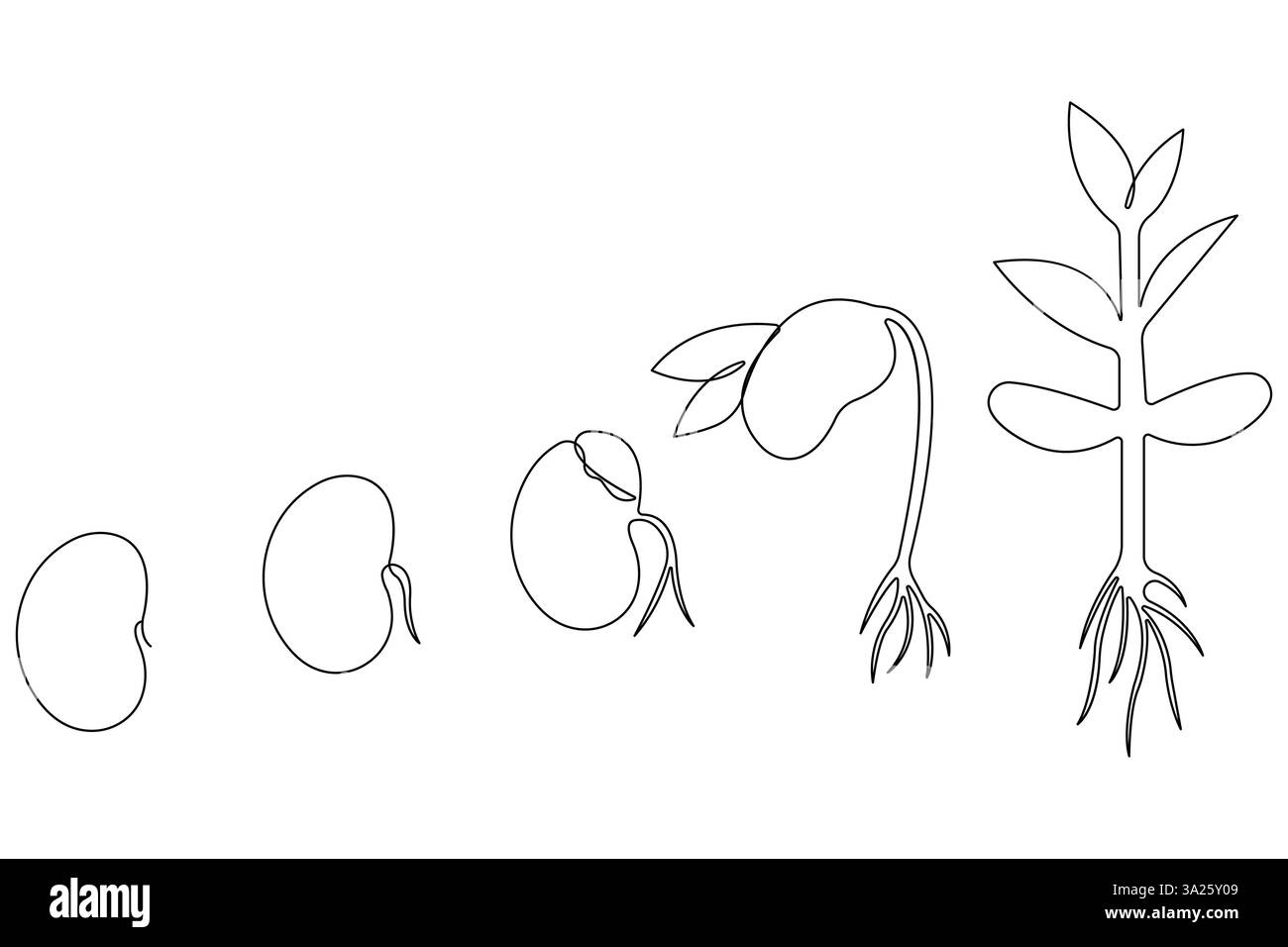 Plant growing continuous one line art drawing of tree plant outline ...