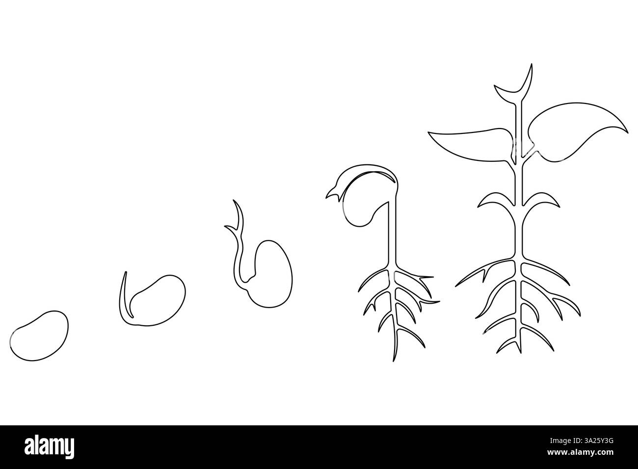 Plant growing continuous one line art drawing of tree plant outline ...