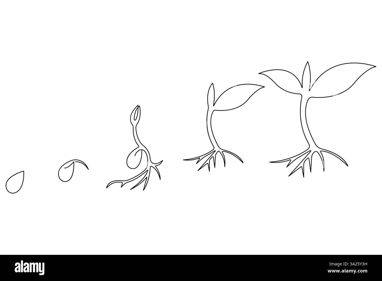 Continuous single line art drawing of plant growth processing from seed ...