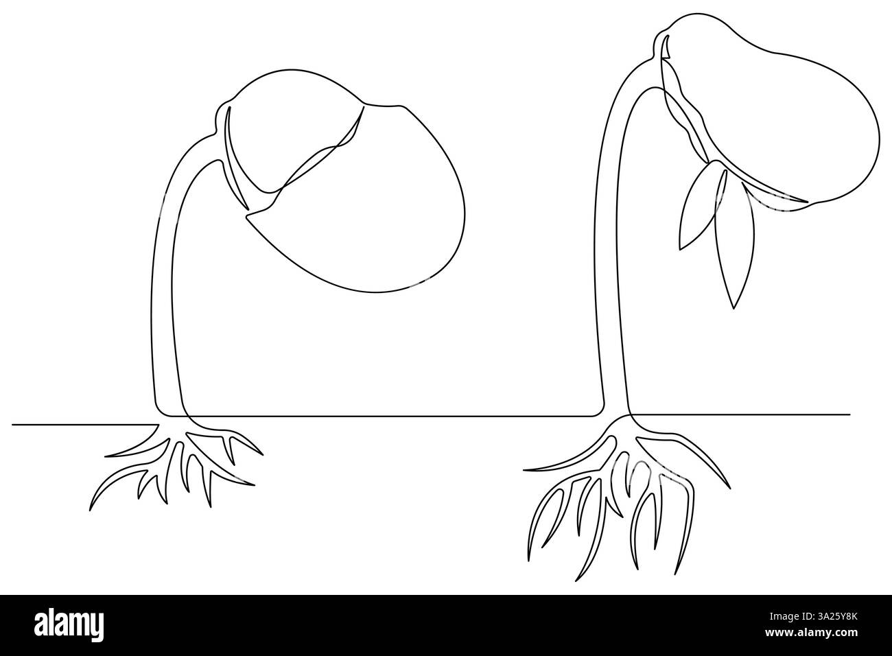 Continuous single line art drawing of plant growth processing from seed ...