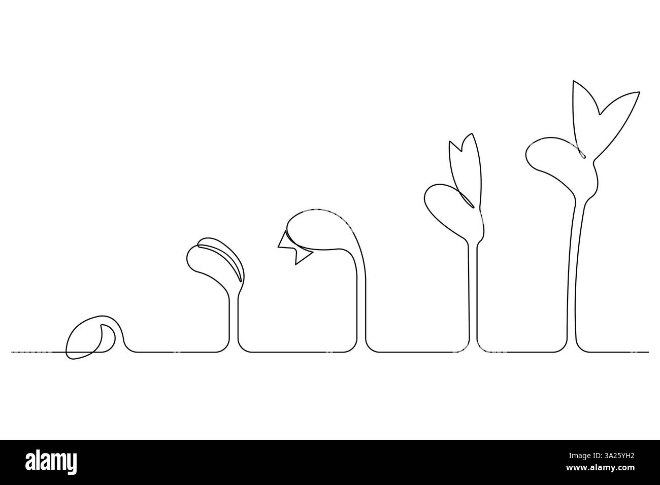 Continuous single line art drawing of plant growth processing from seed ...