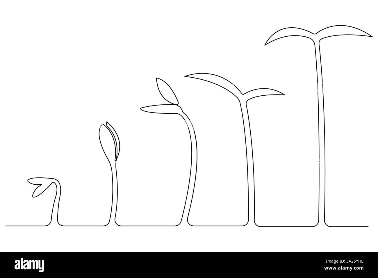 Continuous single line art drawing of plant growth processing from seed ...