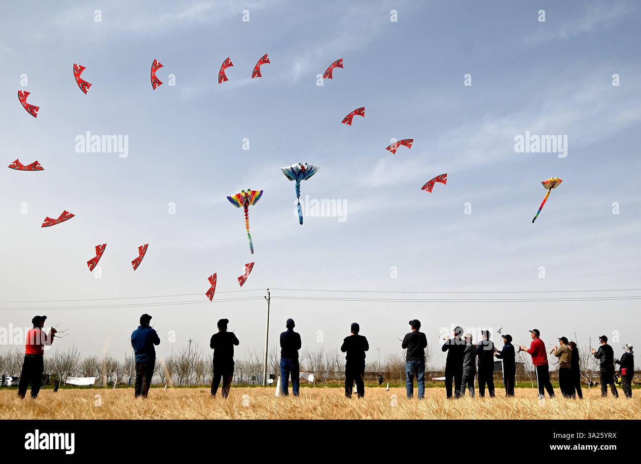 HANDAN, CHINA - MARCH 12, 2025 - Kite lovers fly four-line sports kites ...
