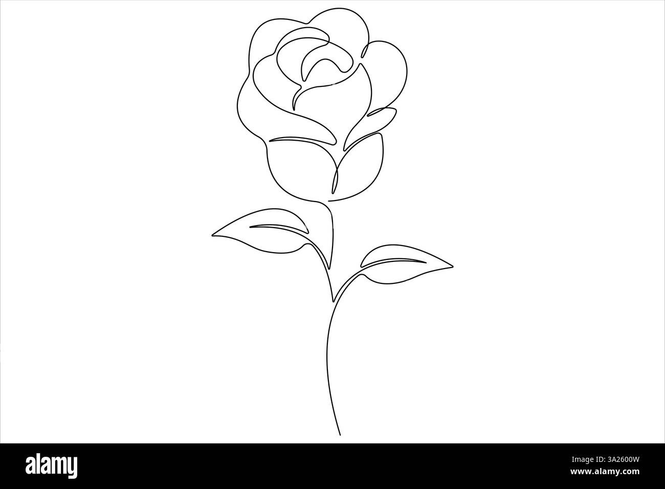 Rose flower continuous one line art drawing of outline vector illustration Rose day, valentine ...