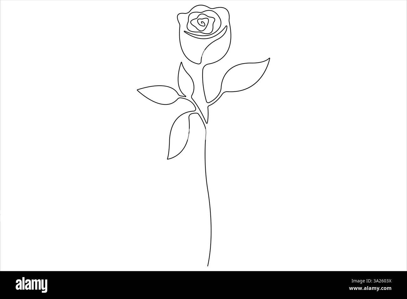 Rose flower continuous one line art drawing of outline vector illustration Rose day, valentine ...