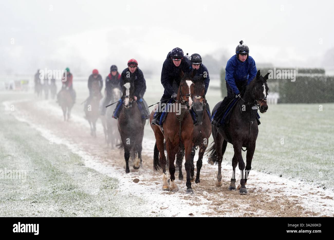 Cheltenham festival 2025 snow hi-res stock photography and images - Alamy