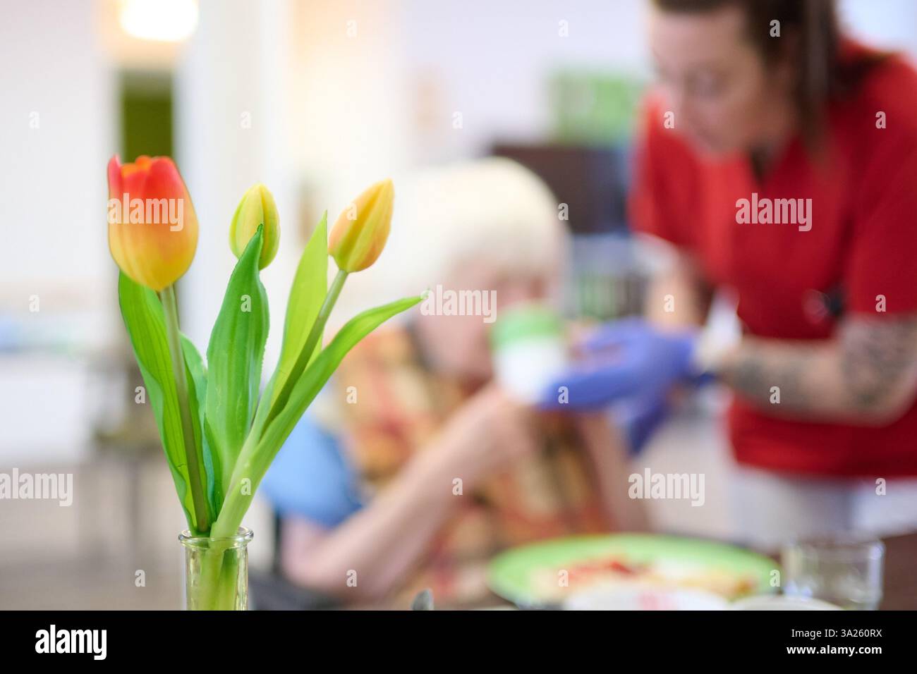 Essen, Germany. 12th Mar, 2025. A care worker assists a senior citizen ...