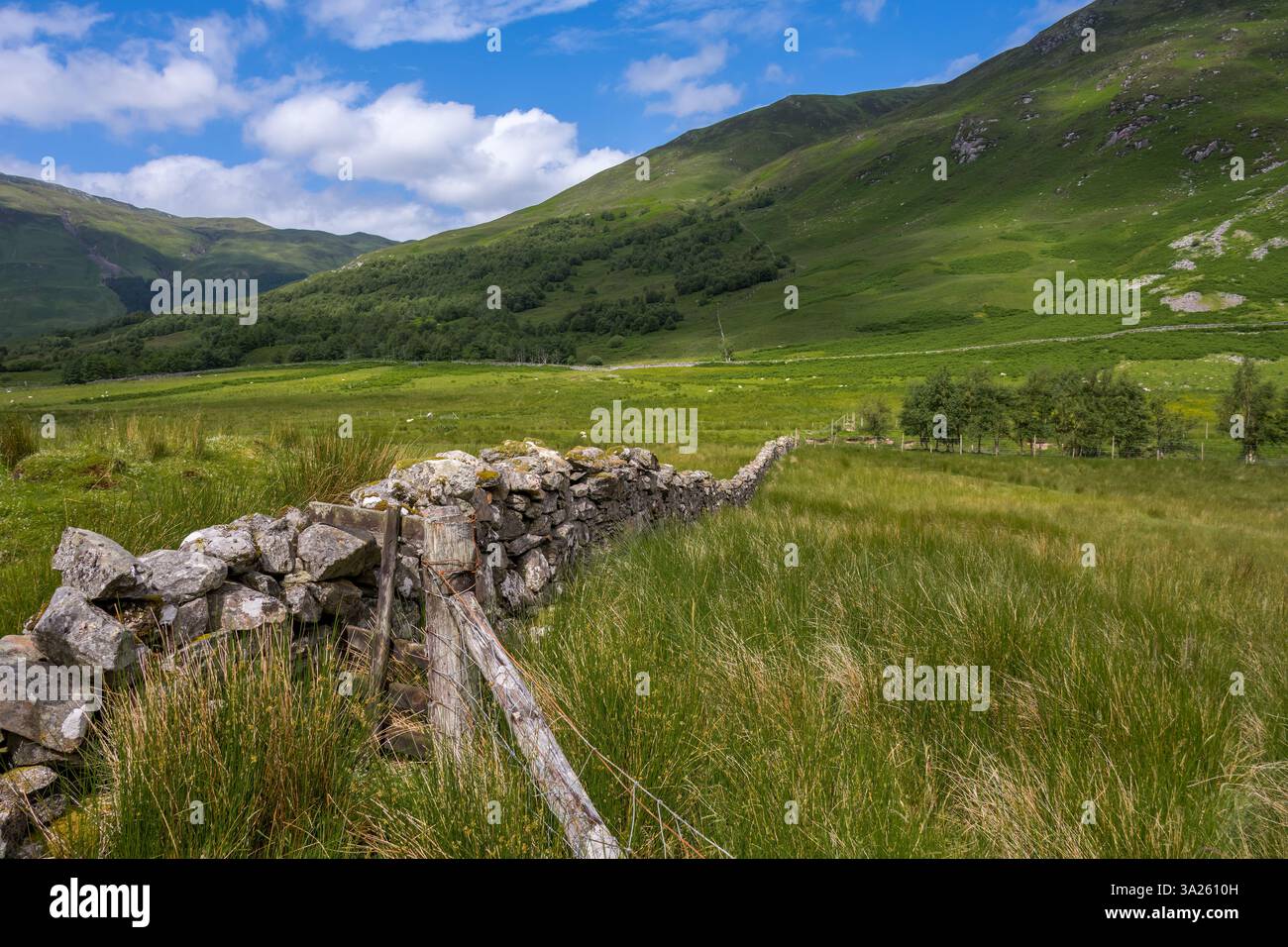 Stunning view at Kintail, National Trust, Scotland Stock Photo - Alamy