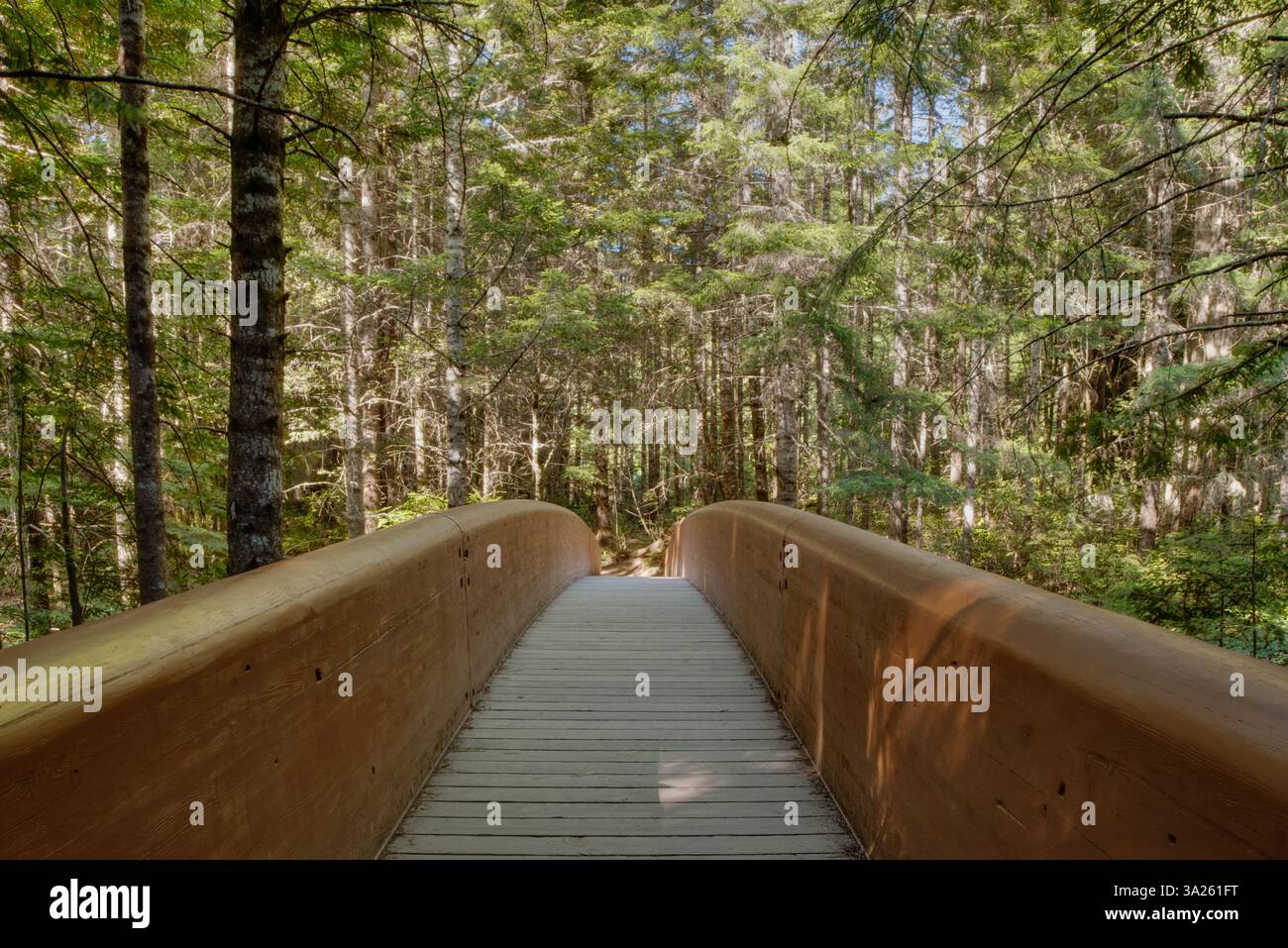 A foot bridge for walking through the trees in the Redwood National ...