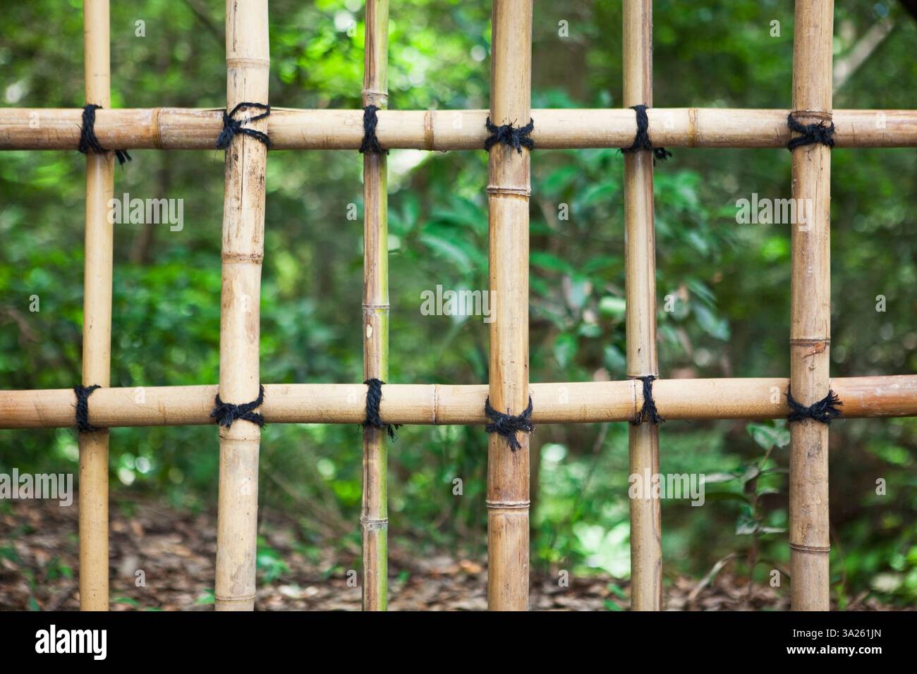 Bamboo fence detail, Meiji Jingu Shrine, Tokyo, Japan Stock Photo - Alamy