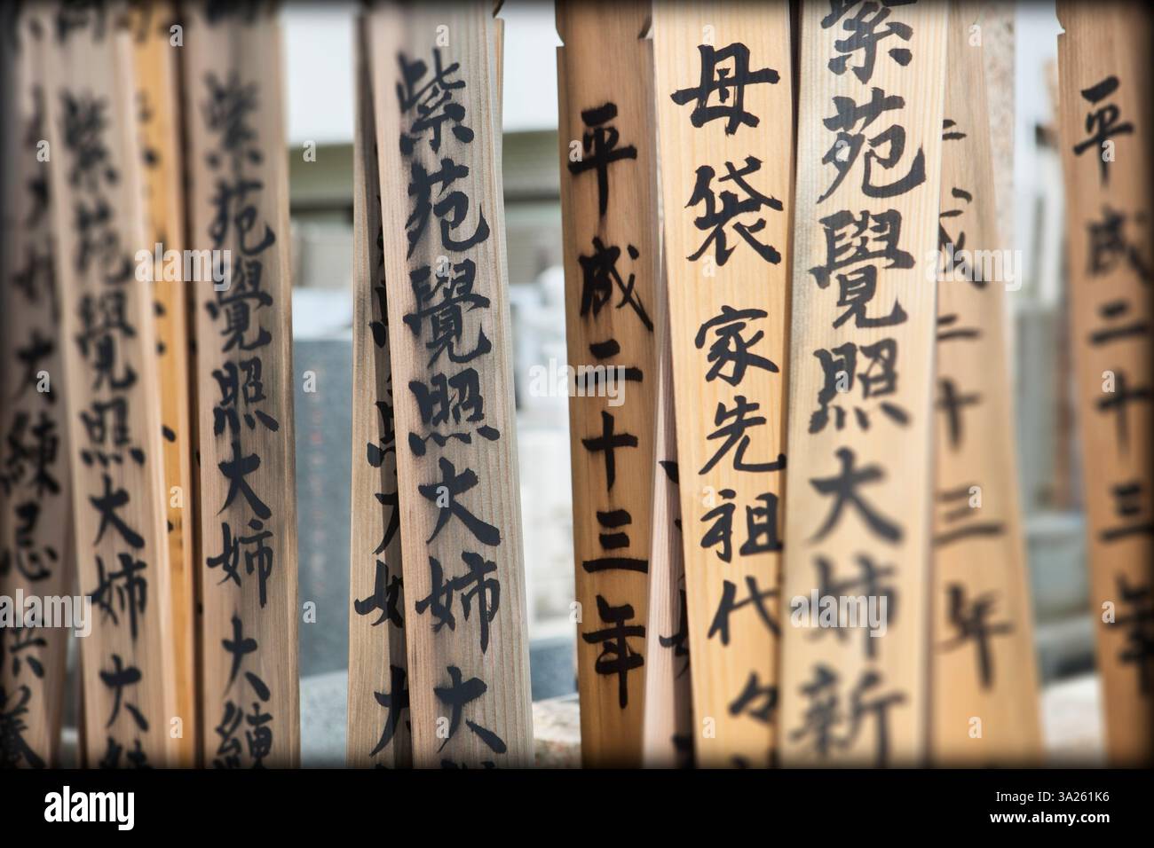 Japanese prayer sticks in cemetery, Tokyo, Japan Stock Photo - Alamy