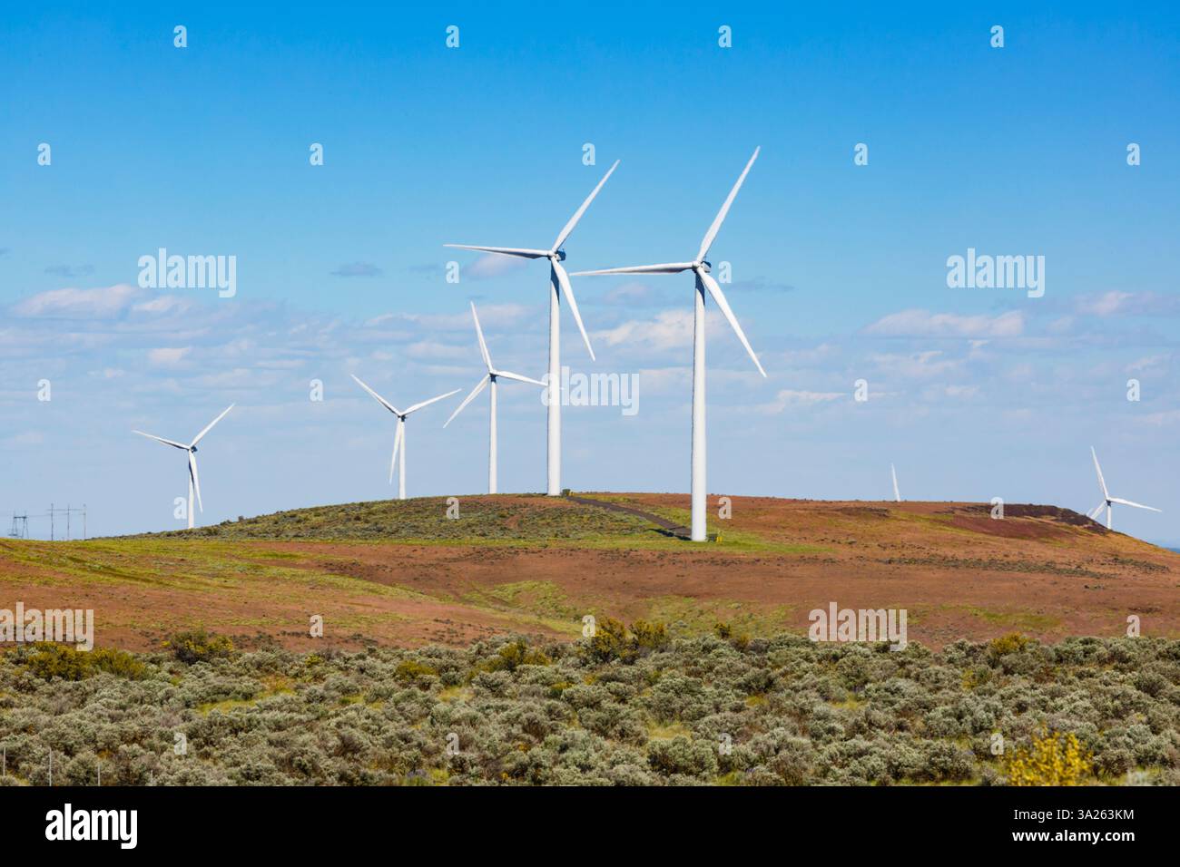 Wind turbines on the rolling hills of Kittikas county in Washington ...