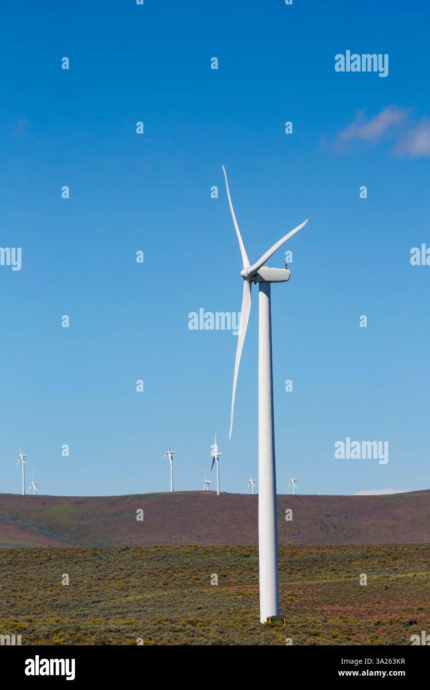 Wind turbines on the rolling hills of Kittikas county in Washington ...