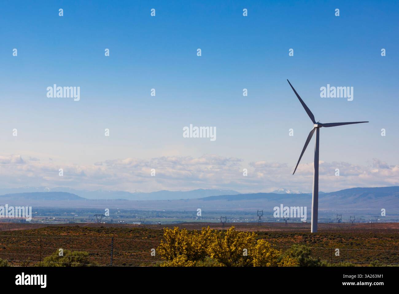 Wind turbines on the rolling hills of Kittikas county in Washington ...