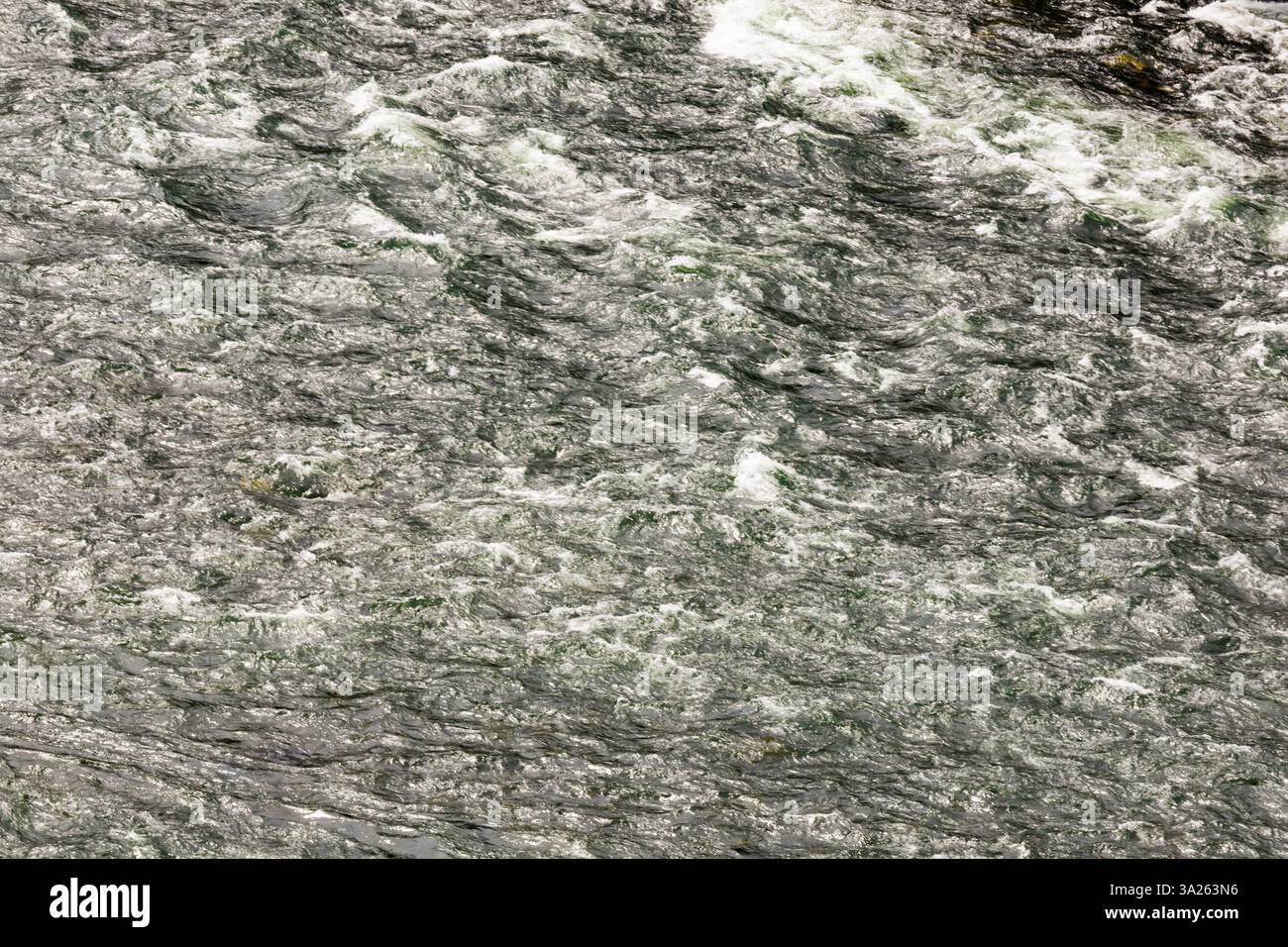 Overhead view of the Spokane River flowing fast over rocks and trees on ...