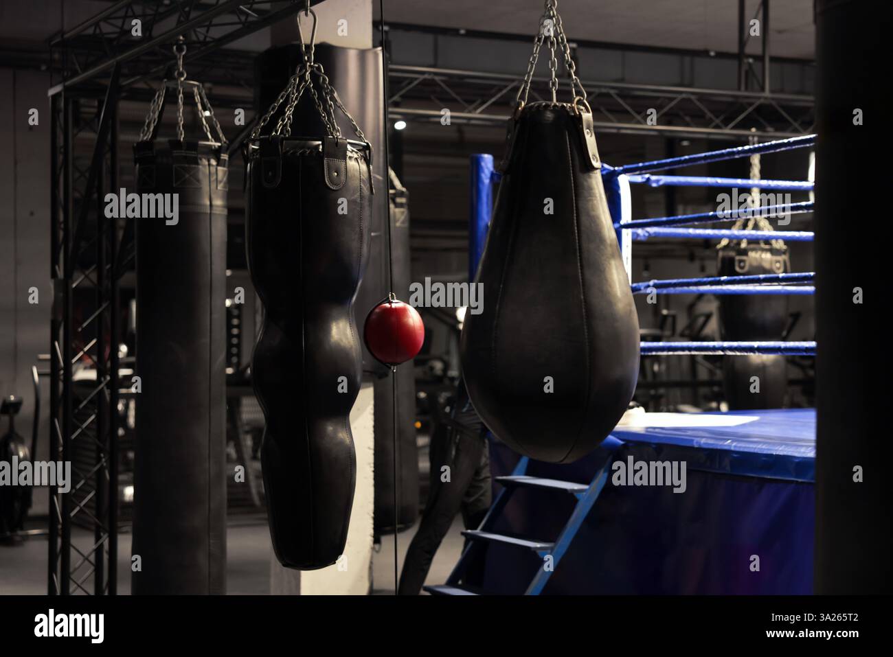 Punching bags and boxing ring in training center Stock Photo - Alamy