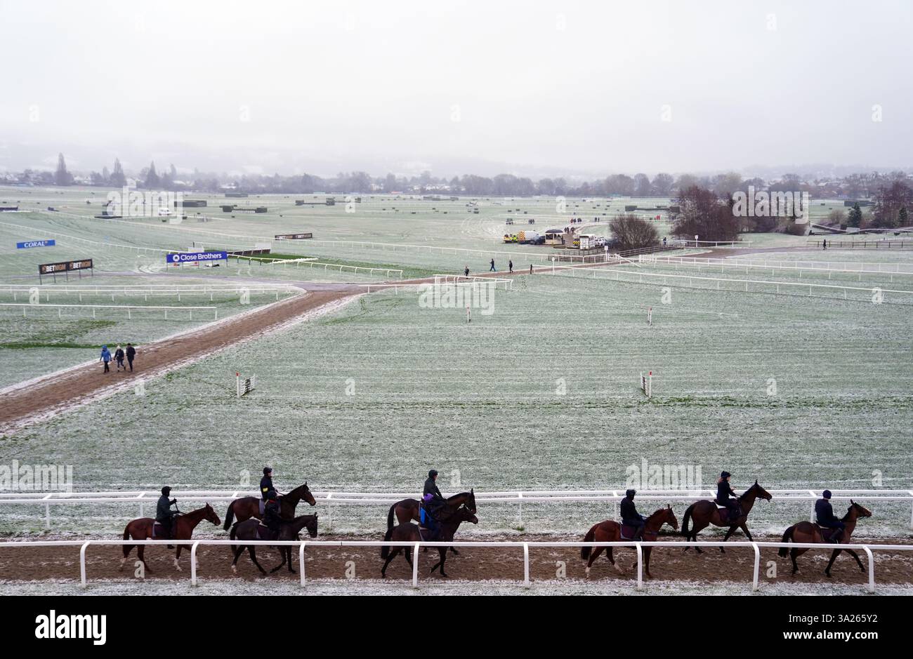 Horses make their way back in from the snow covered gallops on day two ...
