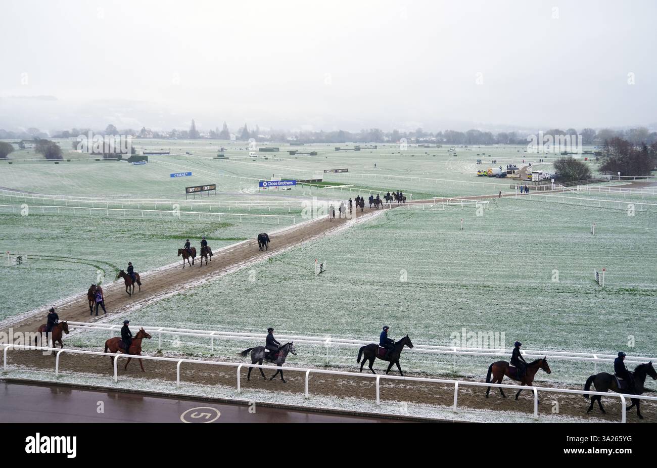 Horses make their way back in from the snow covered gallops on day two ...