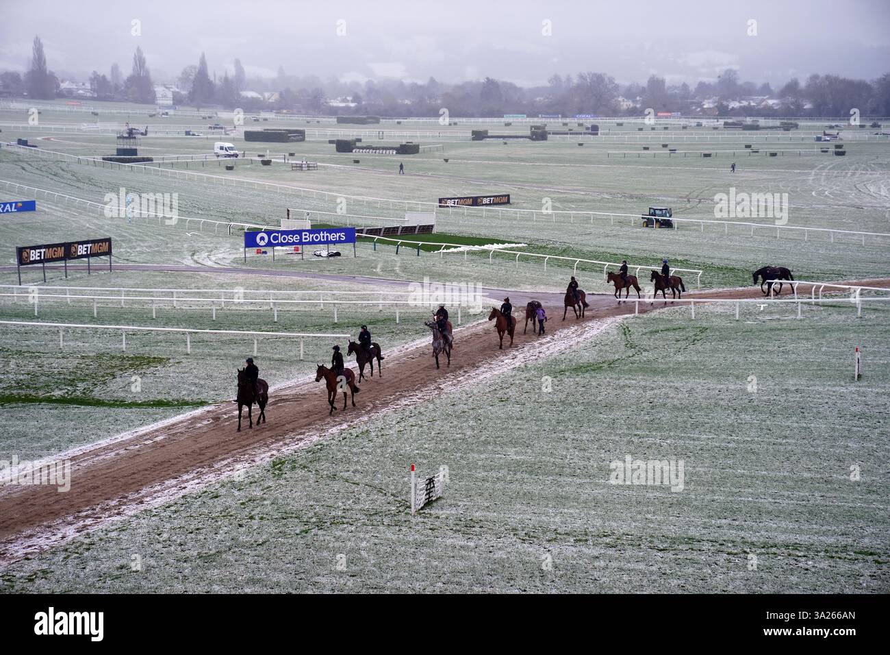 Horses make their way back in from the snow covered gallops on day two ...